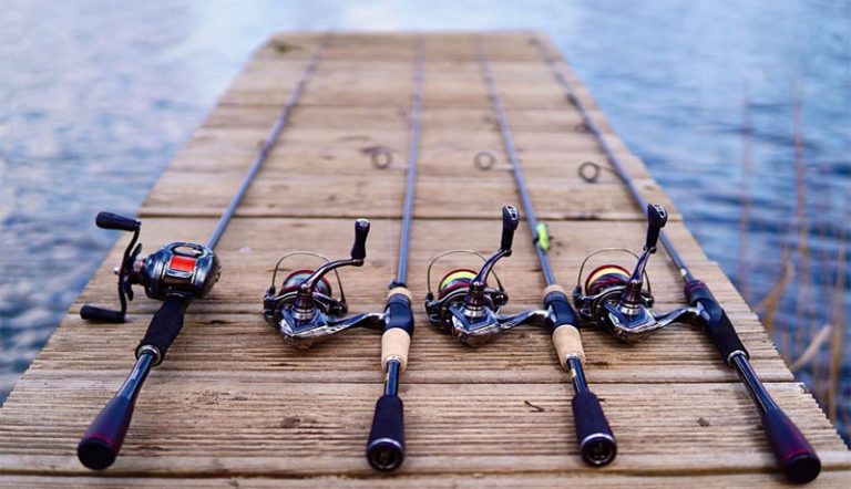 Top 14 Best Japanese Fishing Rod Brands To Buy