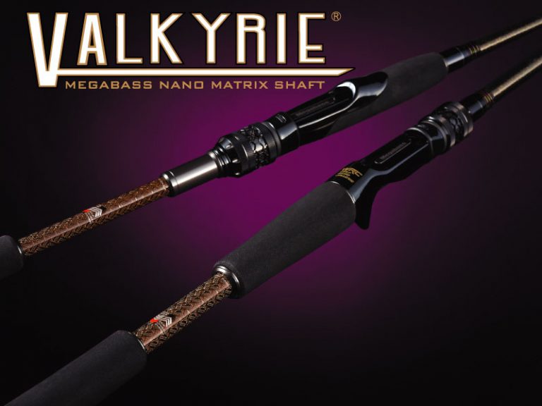 Top 14 Best Japanese Fishing Rod Brands To Buy