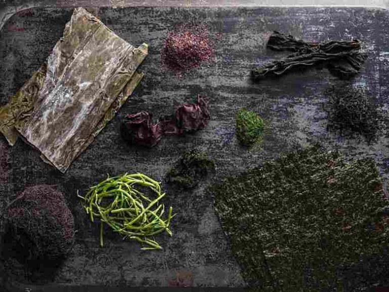 10 common types of Japanese seaweed